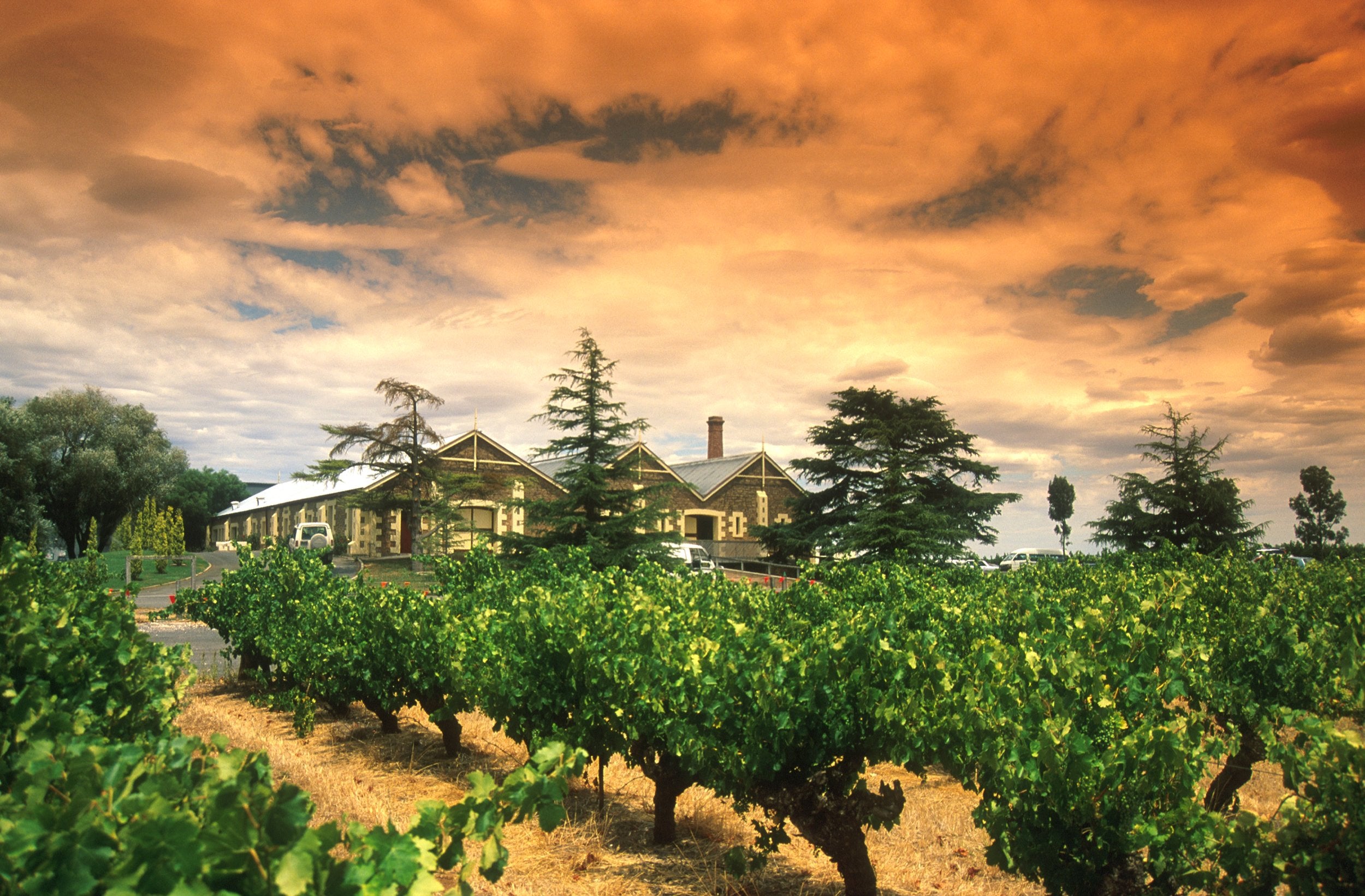 Over 50% Off the ultimate Coonawarra Cabernet Mixed 6 pack, $390 of va ...