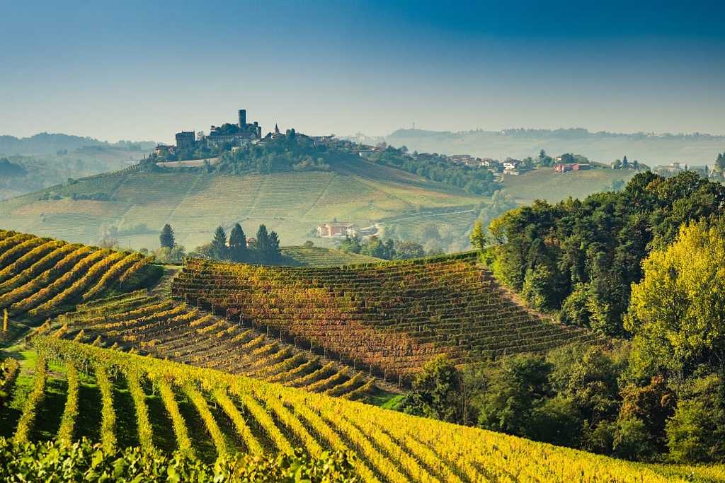 Boccaccio Cellars – Boccaccio Cellars