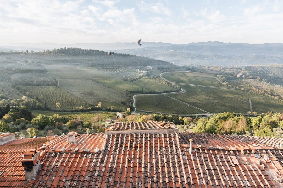 Boccaccio Cellars – Boccaccio Cellars